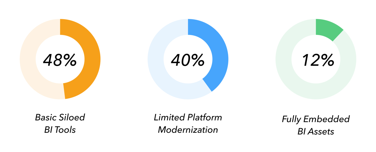 Bridging the BI Maturity Gap: Strategic Insights from our Time with IIA